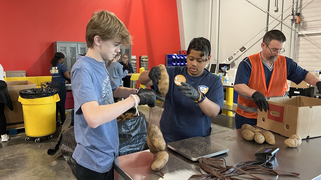 Live Feed | White Hall Middle School